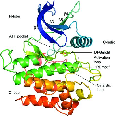 Binding Site