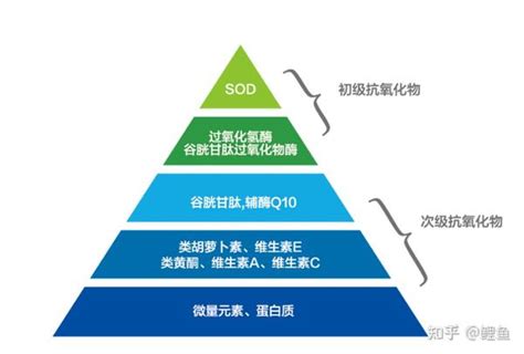 Sod介绍及功效应用 知乎