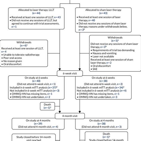 Trial Flow Chart Showing The Planned Progress Of Participants Download Scientific Diagram