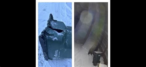 Bear Proof” Garbage Bin Rmildlyinteresting