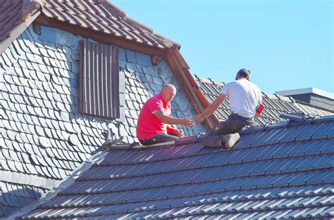 Budget Friendly Options For Wind Damaged Shingles Relative Taste