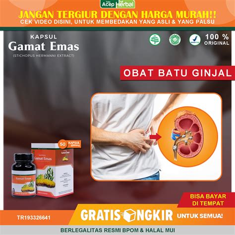 Obat Sakit Ginjal Batu Ginjal Infeksi Ginjal Ginjal Bocor Bengkak
