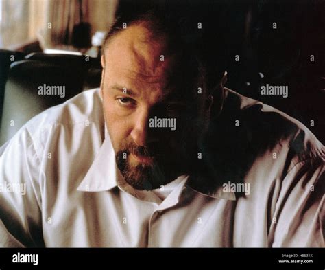 James Gandolfini Quentin Tarantino At Ilene Haase Blog