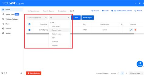 Proxy Settings In VMMask Anti Detect Browser