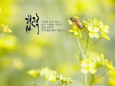 찬양하라~ 내영혼아 내속에 있는 것들아 다찬양하라 Band
