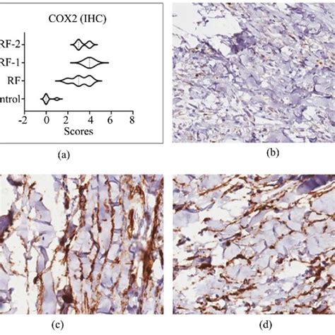 Analysis Of Total Collagen Expression A Scores Obtained In All