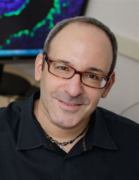 cohn martin j professor cohn martin j department of molecular