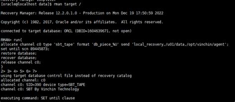 Oracle Database Restore · Vinchin Help Center