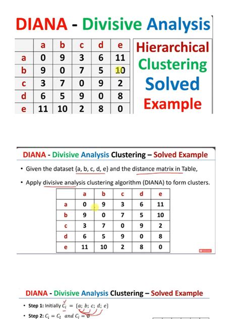 Divisive Alogrithm Pdf