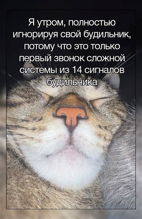 ﻿Я утром, полностью игнорируя свой будильник, потому что это только ...