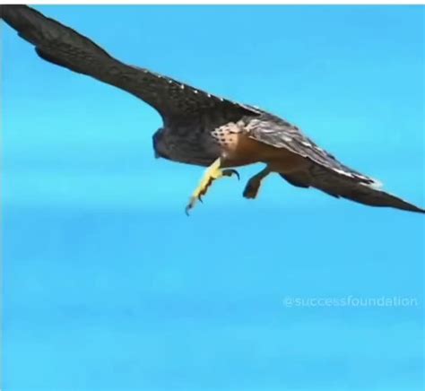 Kaisar Hamid On Linkedin Growithkaisar Linkedin Practice 35 Comments