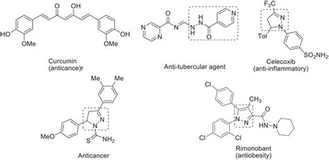 Representative Examples Of Chalcone Isoniazid Pyrazoline And Download Scientific Diagram