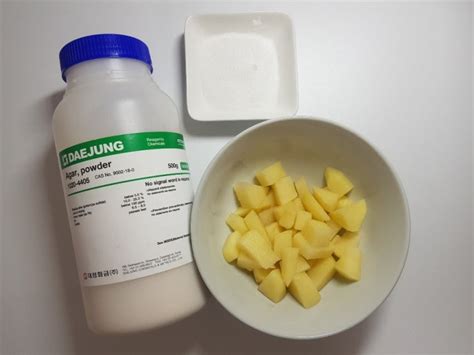 [버섯종균] 버섯종균기능사 실기 5 감자한천배지 제조 2가지 방법 배지시약별 안내 Pda 네이버 블로그