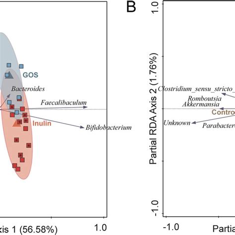 Effect Of Prebiotic Supplementation Depending On The Dietary Calcium