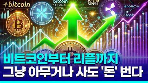 비트코인부터 솔라나·도지코인·리플까지그냥 아무거나 사도 무조건 돈 번다 Youtube