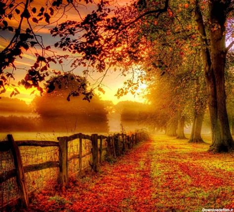 عکس سفید خالی برای نوشتن متن