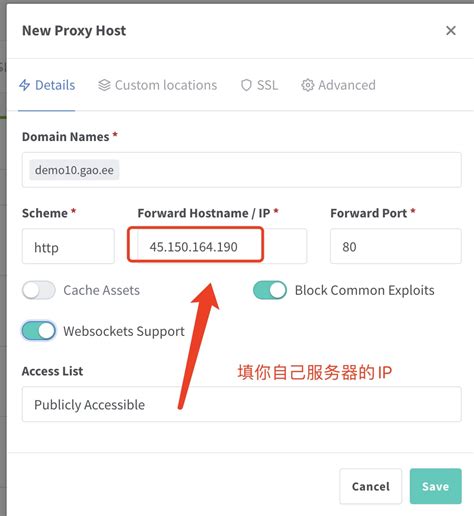如何在nginx Proxy Manager（npm）上部署静态网站 爱玩实验室