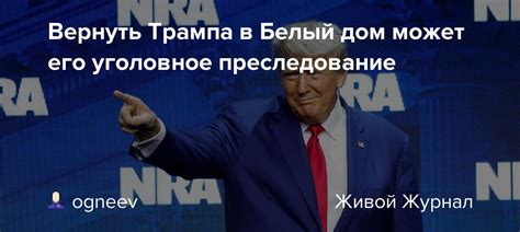 Вернуть Трампа в Белый дом может его уголовное преследование Rupolit