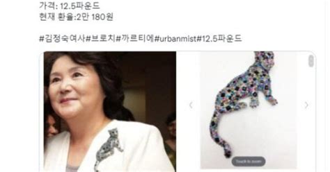 靑김정숙 브로치 명품 아니지만 가품이라고 할 수 없어