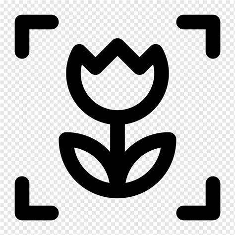 디자인 초점 그래픽 매크로 그래픽 디자인 아이콘 Png Pngwing