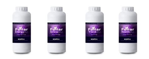 Foliar Sprays In Cannabis Cultivation Blog Dutchfem Feminized Seeds