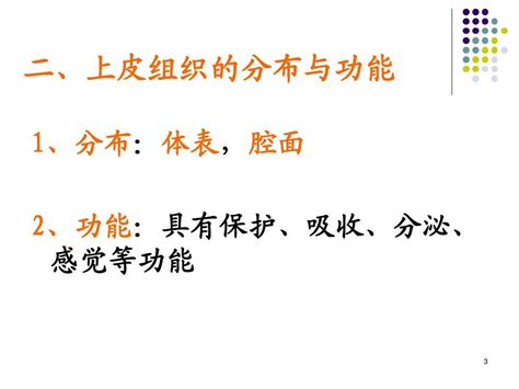 大学组胚上皮组织 word文档在线阅读与下载 无忧文档