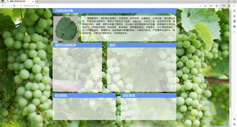 深度学习之基于django卷积神经网络葡萄叶部病害图像诊断识别系统 索炜达 猿创