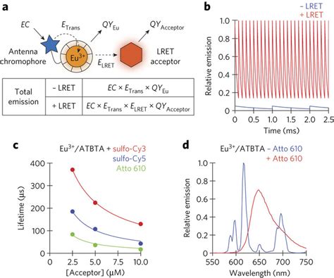 Time Resolved Lanthanide Detection And Lret Enhancement A Energy Download Scientific Diagram