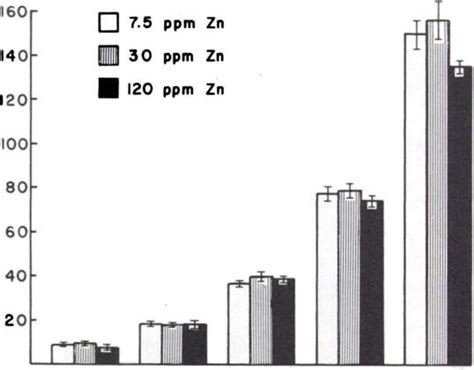 Double Reciprocal Plots Of The Initial Velocity Of Copper Transfer