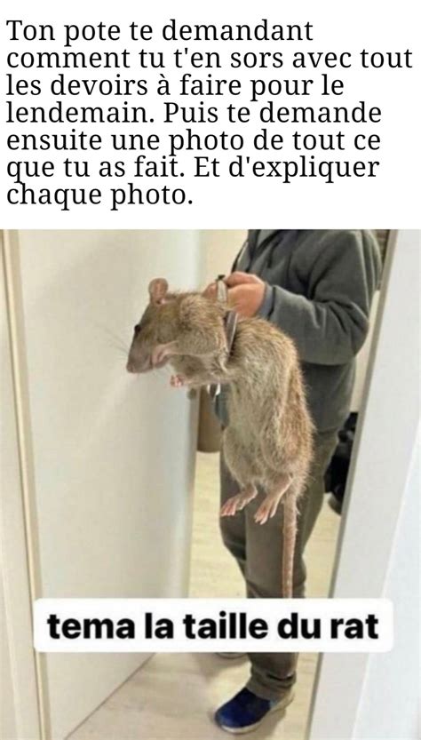 Calling Master Splinter Meme By Gangstar38 Memedroid