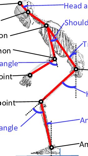 The Joint Angle And The Landmarks Of Body Download Scientific Diagram