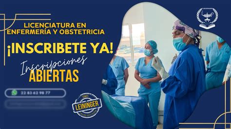 Biblioteca Virtual Leininger