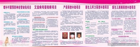 增补叶酸预防神经管缺陷项目设计图 展板模板 广告设计 设计图库 昵图网