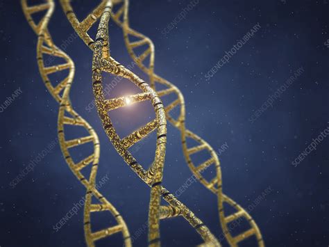 Genetic Mutation Conceptual Illustration Stock Image F0273007