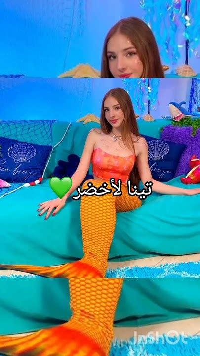 شخصيتك لمفضلة من تيم تين حسب لونك لمفضل تين تيم تيمتين تينا اكسبلور تصميمي Edit تيميتار