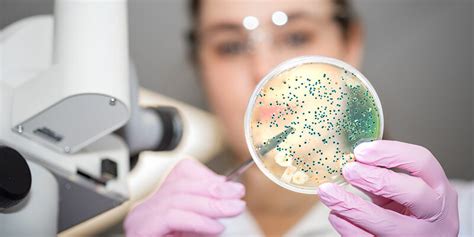 medicon valley aims to become a global centre for microbiome research