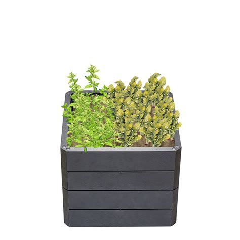 Hochbeet Ergo Quadro S 50 Stone Anthrazit 60 X 50 X 60 Cm