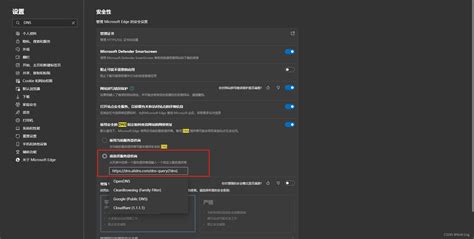 关于浏览器打开网页转圈，修改本机ipv4中的dns服务器地址无果浏览器使用 Ipv4 的 Dns Csdn博客