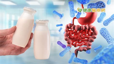 益生菌不等於乳酸菌 益生菌的15個重要觀念 健康醫療網