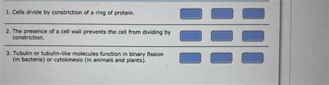 Solved Cells Divide By Constriction Of A Ring Of Proteinthe