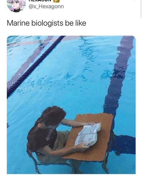 Wild Green Memes For Ecological Fiends There Are Many Benefits To