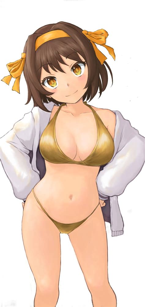 Gyupolo9 Suzumiya Haruhi Suzumiya Haruhi No Yuuutsu Commentary