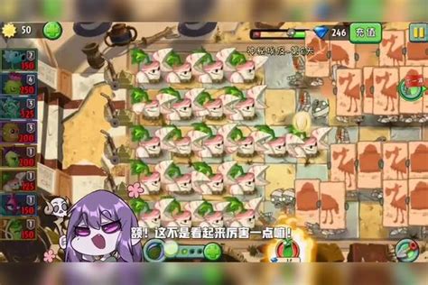 植物大战僵尸满屏的防风草用来打埃及世界小妹你可真够厉害的呀