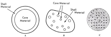 Morphology Of Microcapsules A Mononuclear Or Continuous Core Shell Download Scientific
