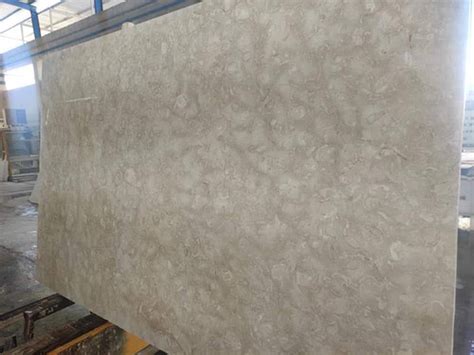 Shell Reef Limestone Tiles Limestone Paving Citadel Stone Ltd