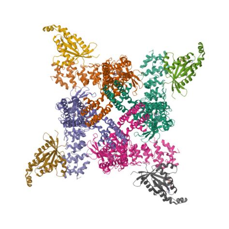 Rcsb Pdb 8fc7 Cryo Em Structure Of The Human Trpv4 Rhoa In Complex