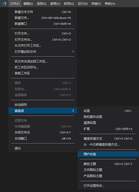 Vscode Vscode Vscode Snipeed Csdn