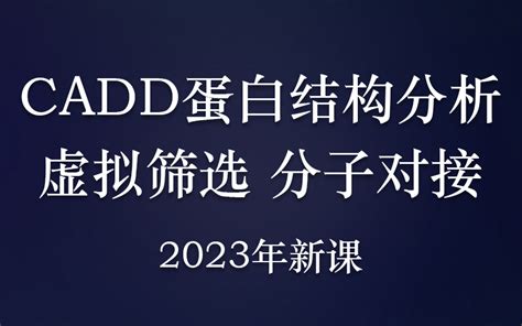 Cadd蛋白结构分析、虚拟筛选、分子对接（蛋白 蛋白、蛋白 多肽等）（私信up领全部视频资料包） 麦克梅2023 默认收藏夹 哔哩哔哩视频