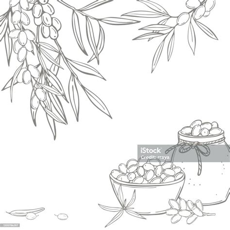 手描きのシーバックソーンセット ベクトルの背景 とげのベクターアート素材や画像を多数ご用意 とげ イラストレーション オーガニック