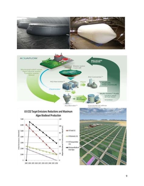 Algae Research Paper Final 1 1